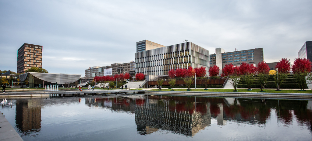 Poets&Quants | Meet The Rotterdam School of Management's MBA Class Of 2020